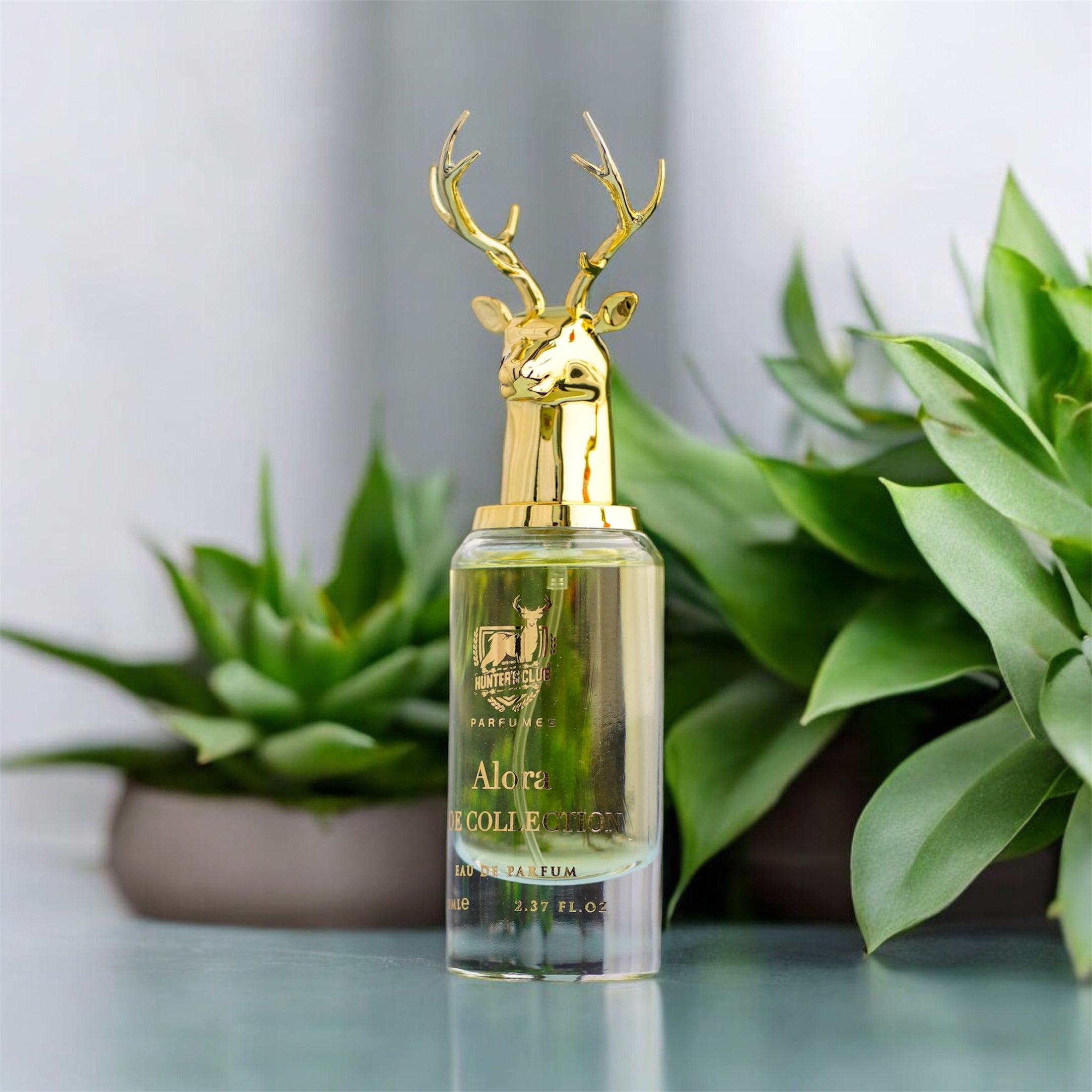Doe Collection Combo Perfume | Best Perfume Gift Set | Long-Lasting Oud ...